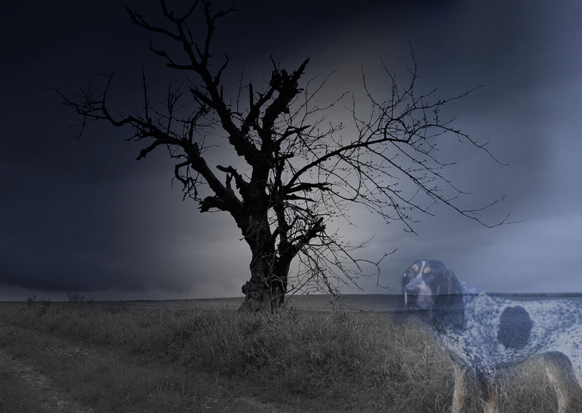 Legend of Blue Dog: The Oldest American Ghost Story | Paranorms